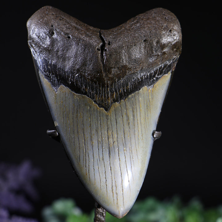 Crystals, mineral specimens, jewelry and more | Little Lemuria