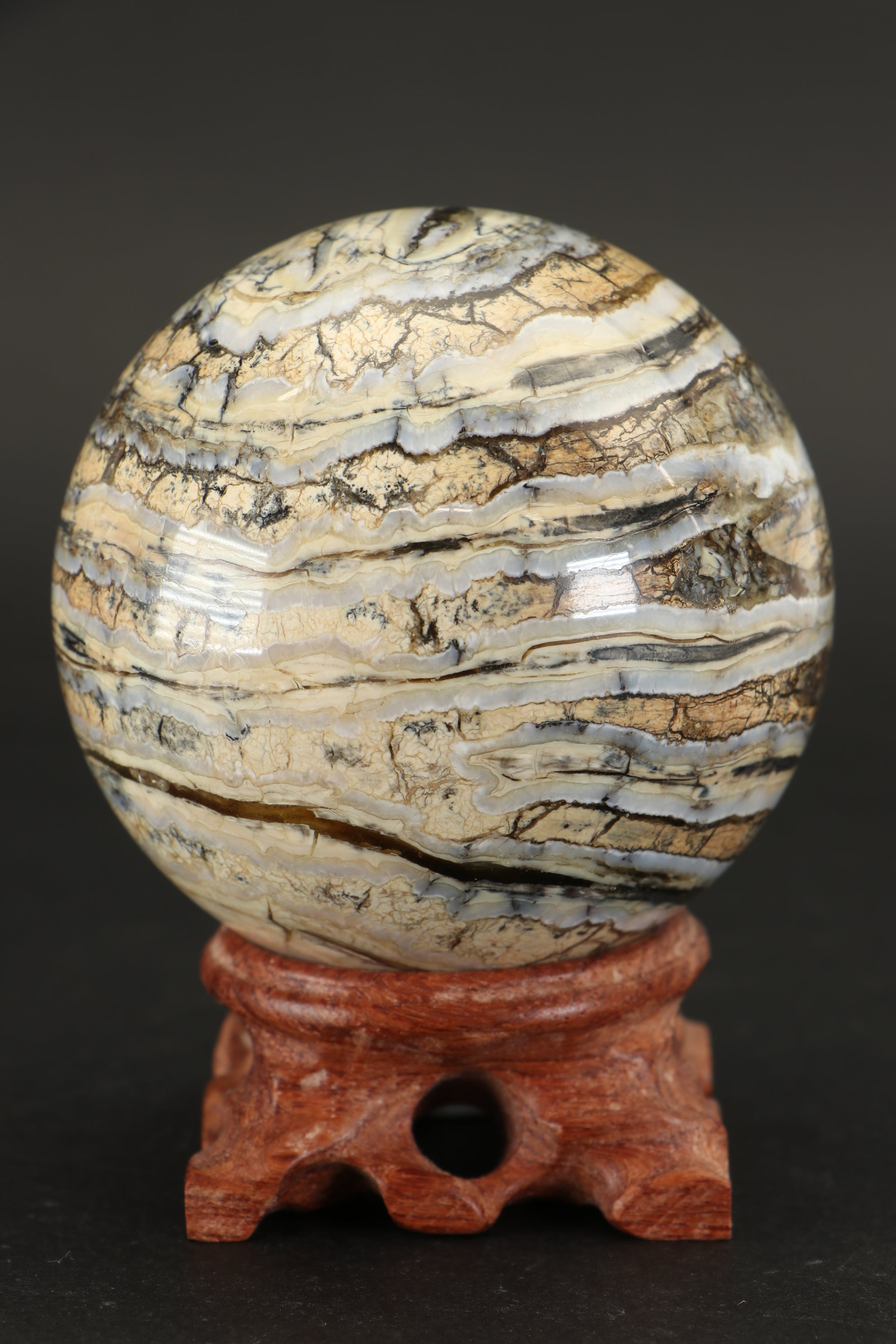 3" Fossil Wooly Mammoth Tooth Sphere TF143 – Little Lemuria