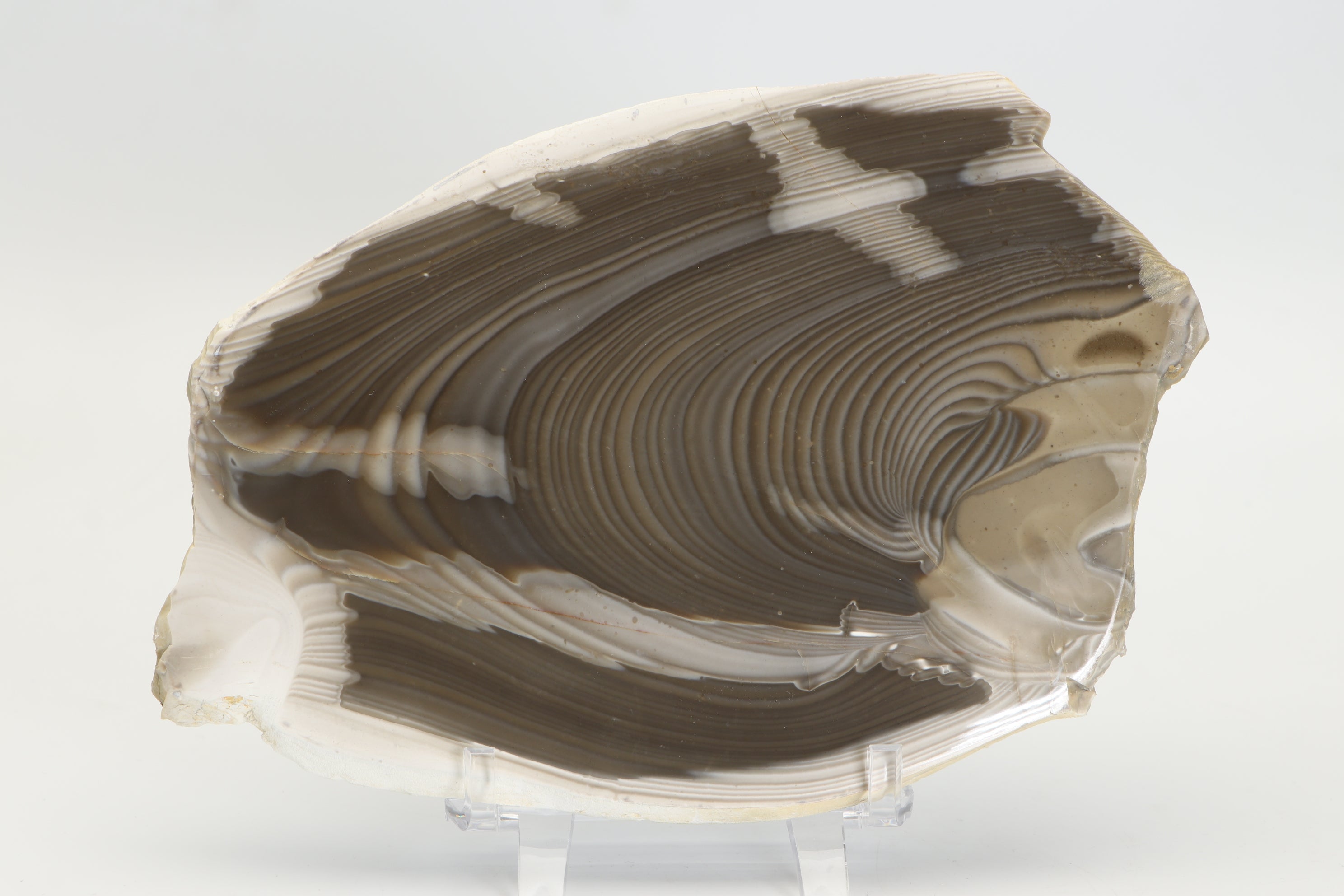 7" Polish Striped Flint Slab – Little Lemuria