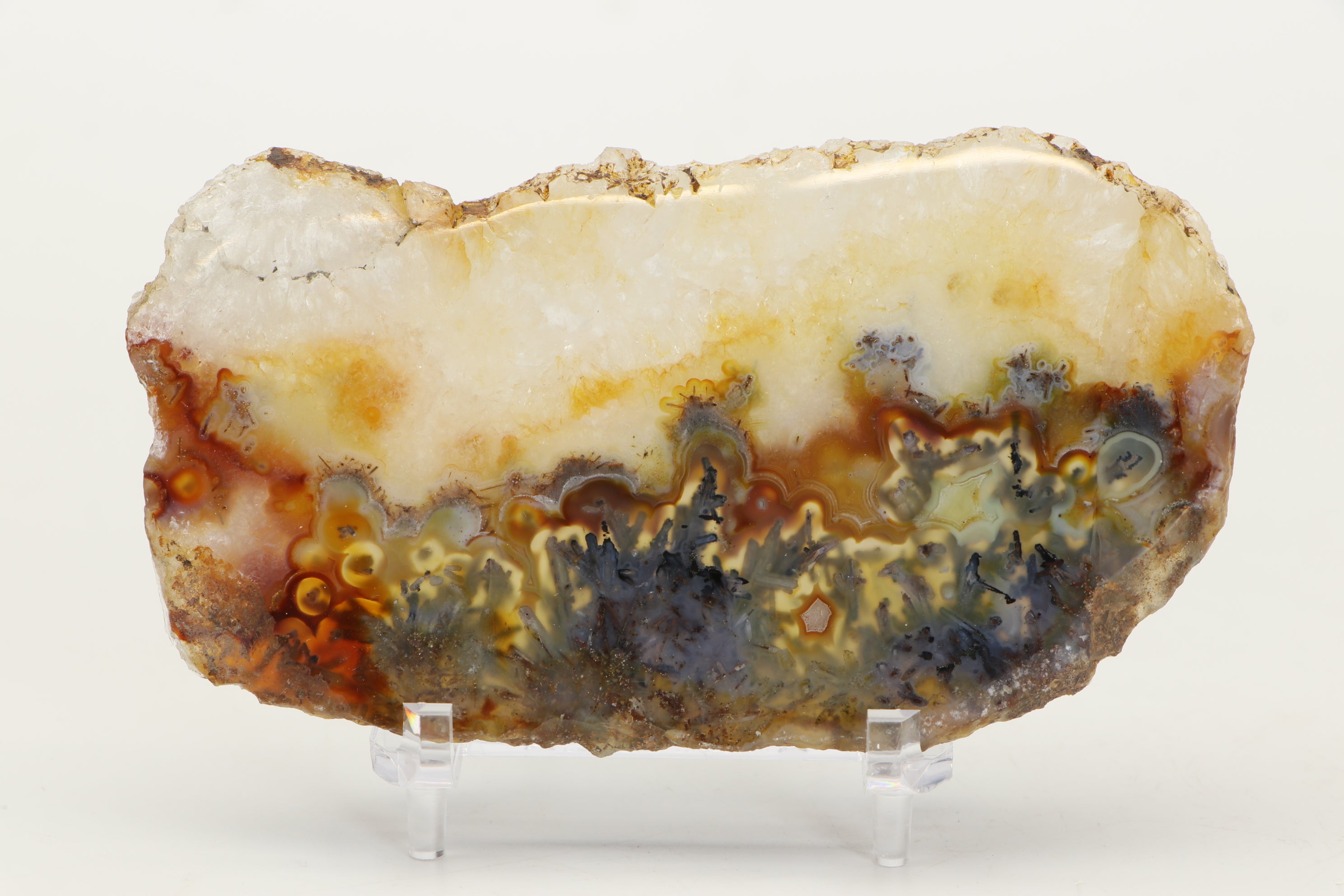 Trent Agate Slab DS1092 – Little Lemuria