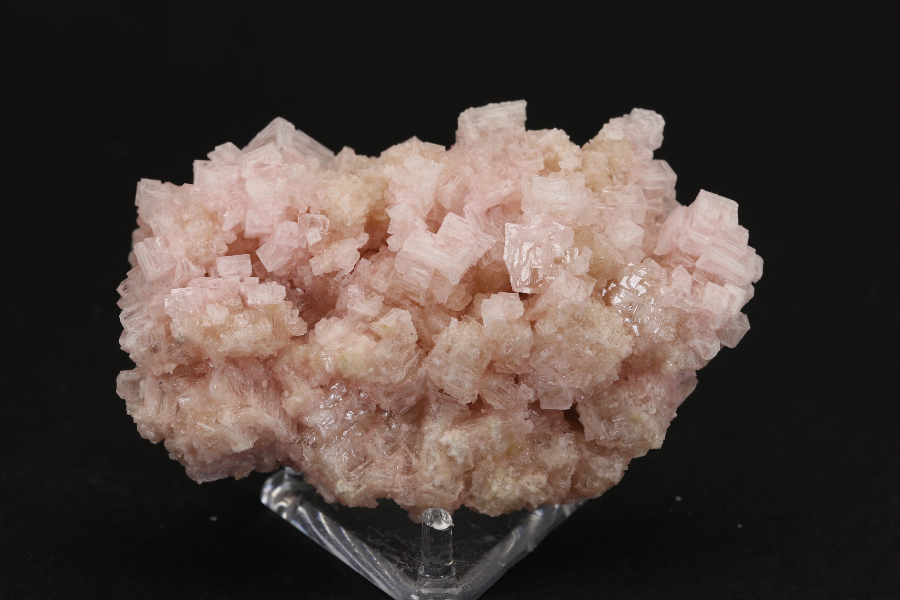 Pink Halite on Trona Specimen DS550 – Little Lemuria
