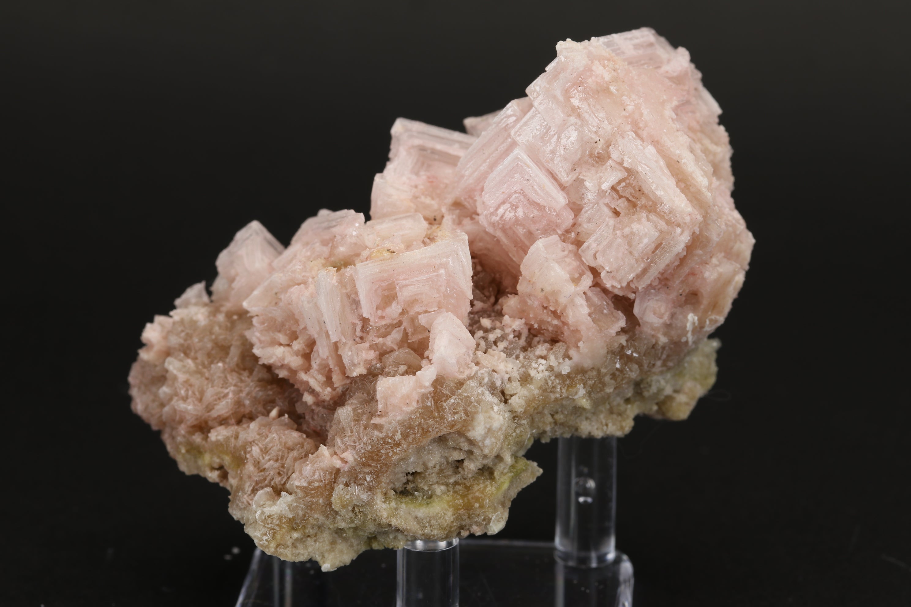 Pink Halite on Trona Specimen DS552 – Little Lemuria