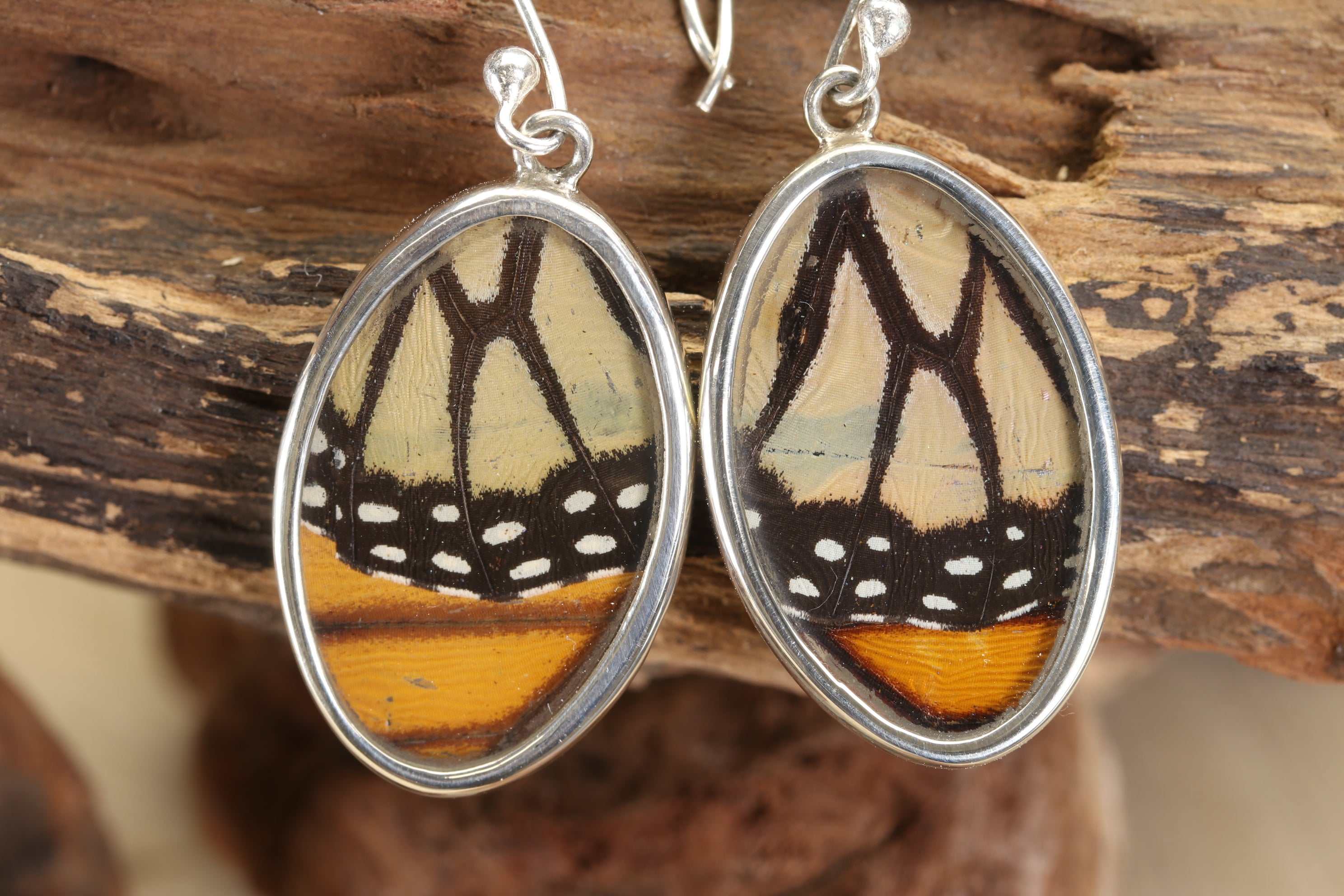 Monarch Butterfly Earrings TF666 – Little Lemuria